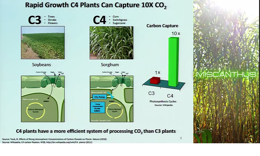 Biochar – Denver Climate Study Group